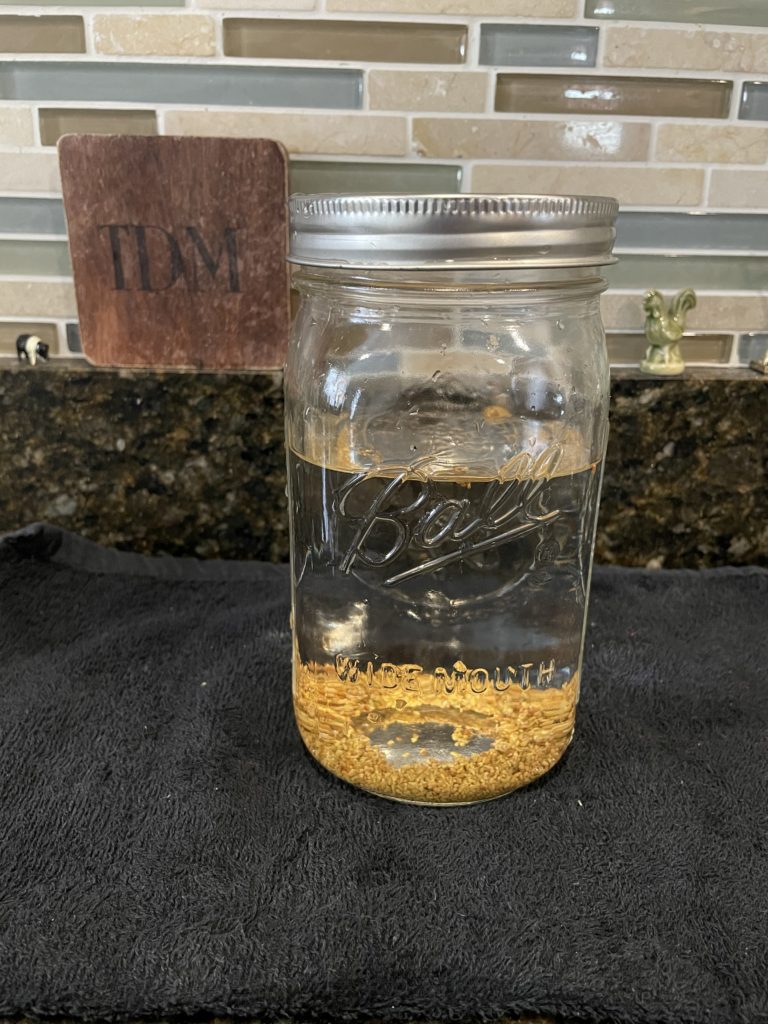 Growing Sprouts In A Jar - Halfway To Homesteading